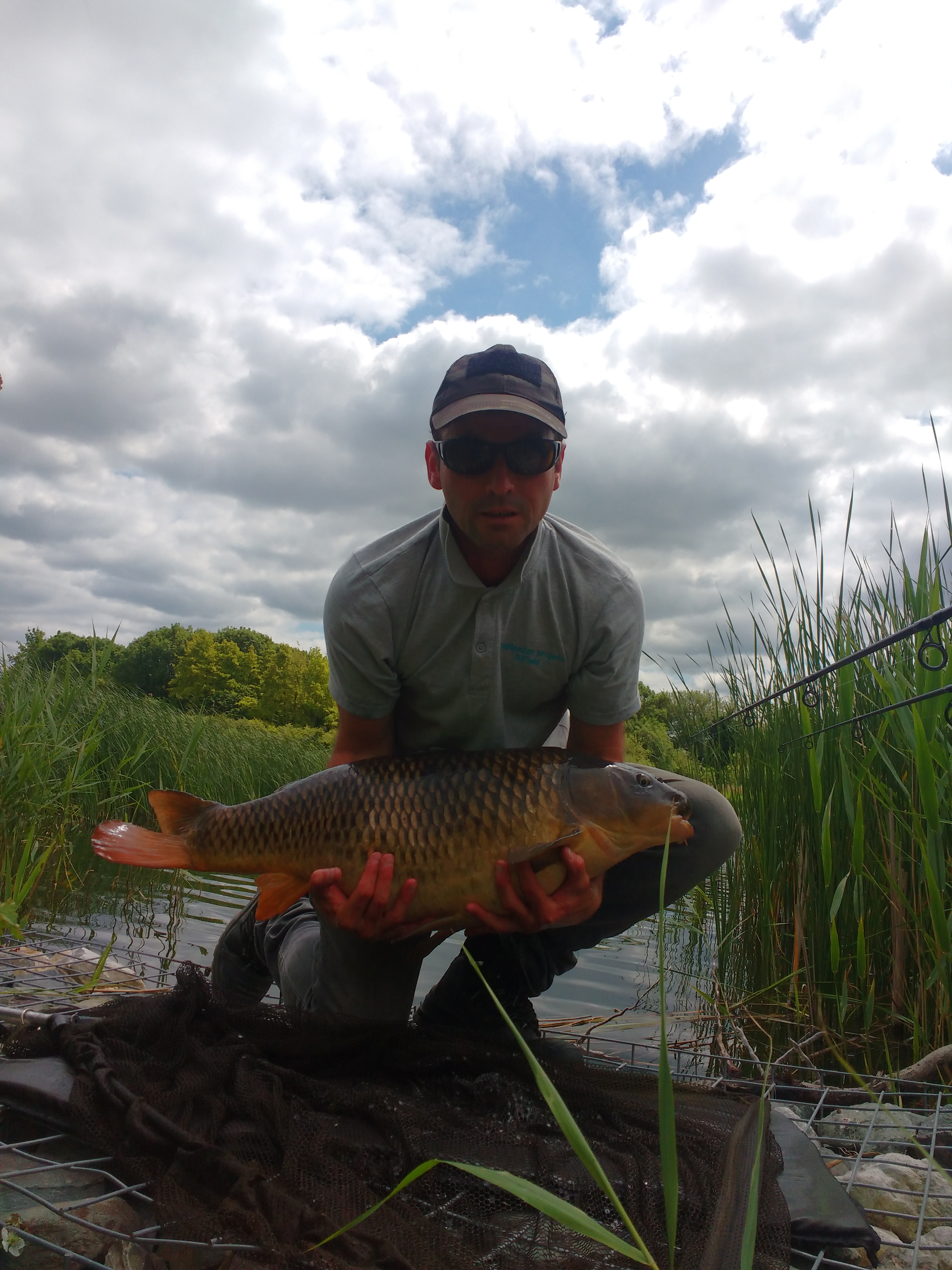 Stu field | Total Carp